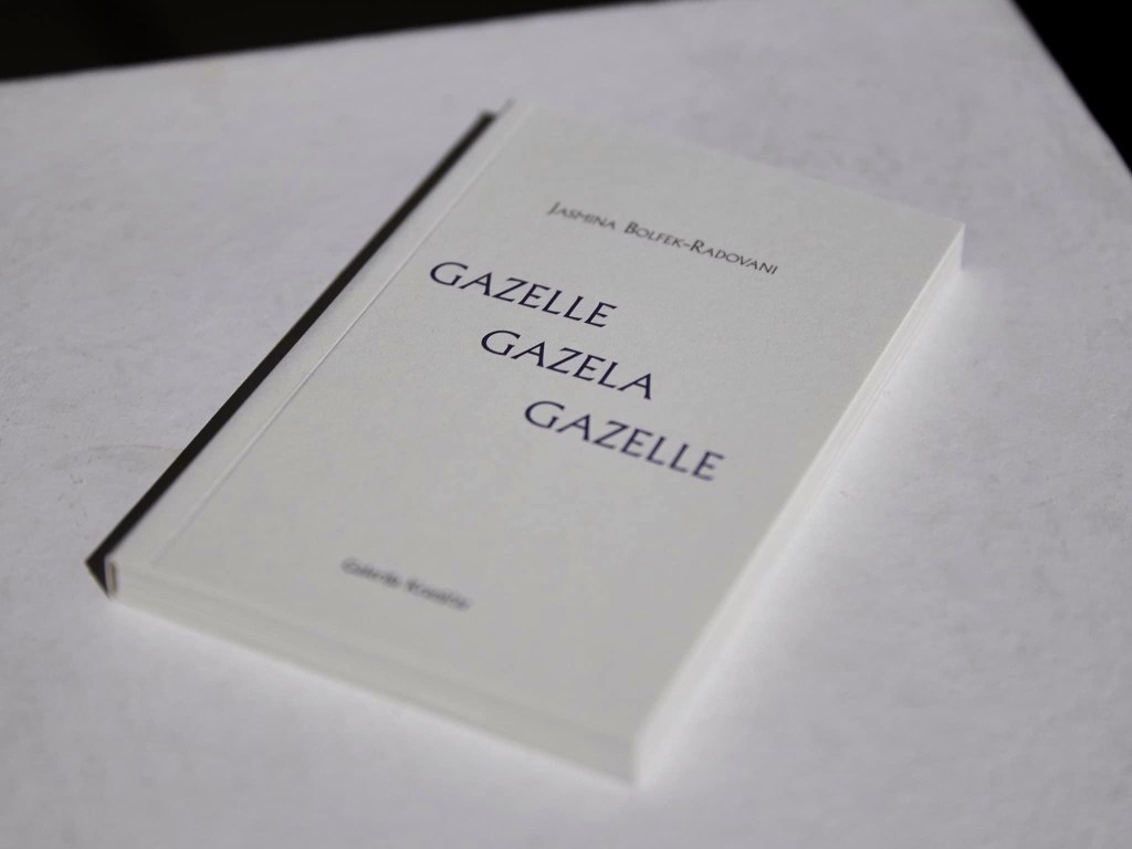 An Invitation to Share the Elegance of the Gazelle* | Tears in the Fence